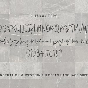 Dexter Script Font - Modern Calligraphy, Procreate Fonts, Handwritten ...