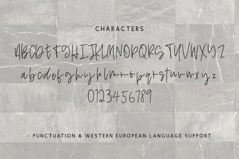 Dexter Script Font Modern Calligraphy Procreate Fonts - Etsy