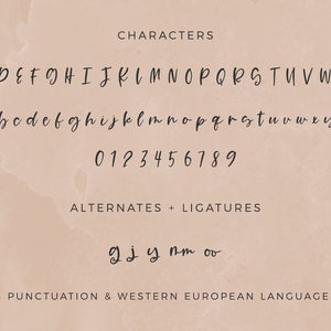 Cardigan Script Font: Modern Calligraphy, Handwritten Signature Font - Etsy