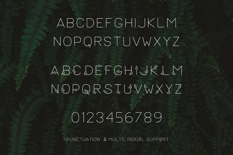 Lush Leaf Sans Serif Font: Ornamental Monogram, Cricut & Procreate ...