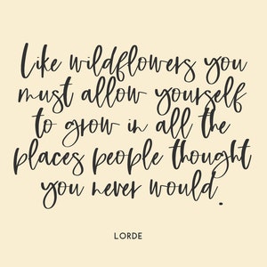 Highlight Script Font Modern Calligraphy, Handwritten Script Font, Boho ...