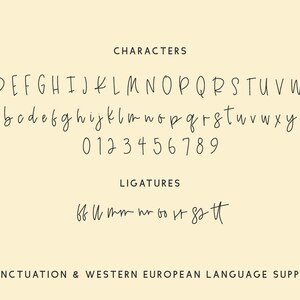 Island Sun Script Font: Modern Calligraphy Font for Cricut & Procreate ...