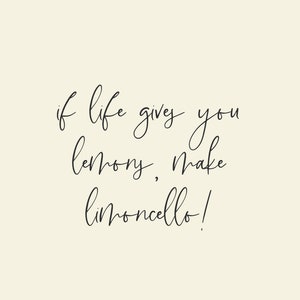 Lemonlove Script Font - Modern Calligraphy, Procreate Fonts ...