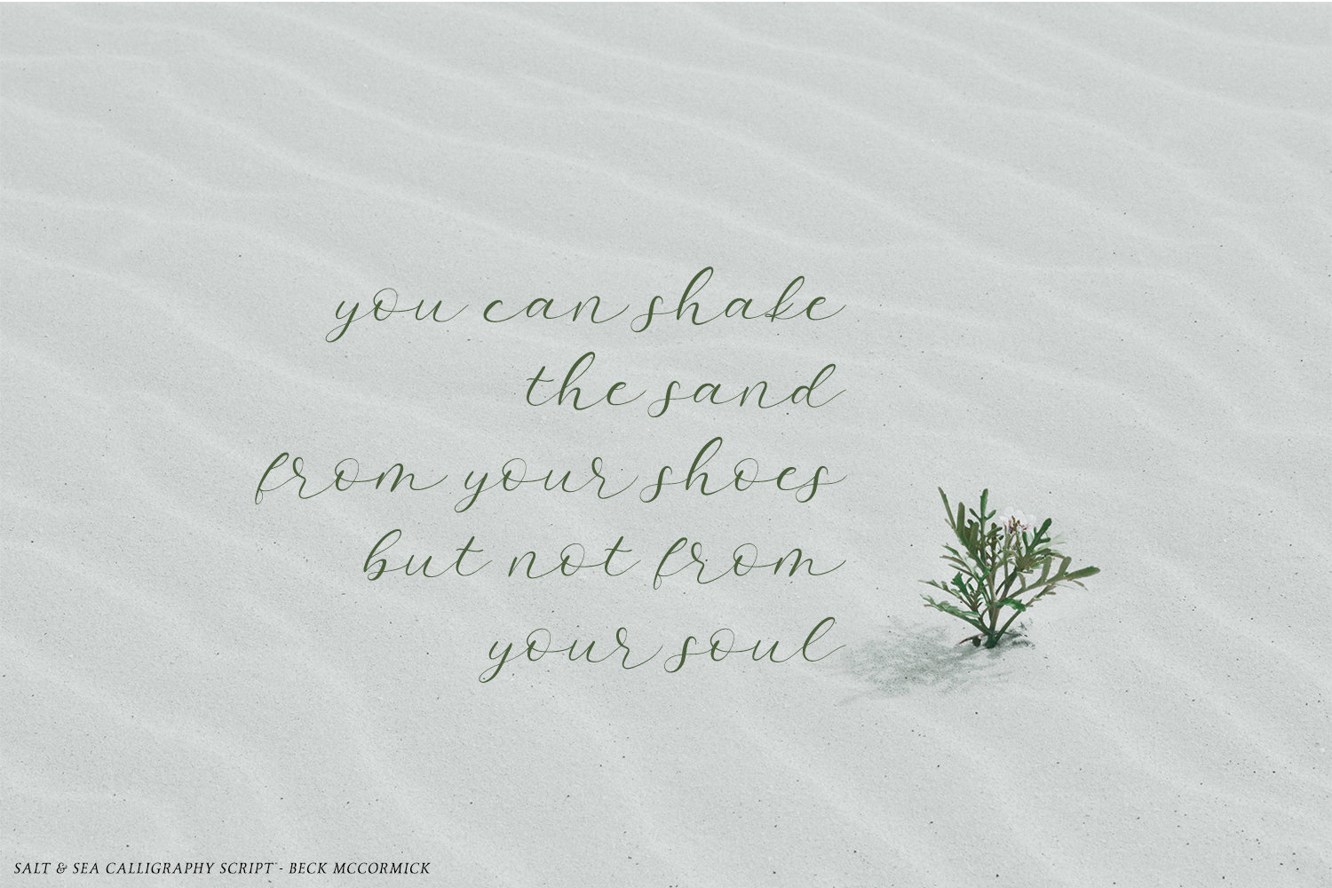 Salt & Sea Calligraphy Font - Feminine Script, Wedding Fonts - Etsy