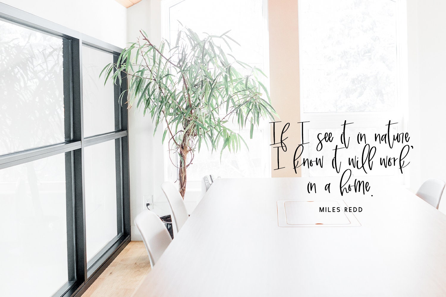 Marshland Script Font Modern Script Font Cricut Fonts - Etsy