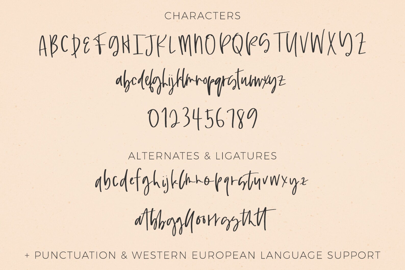 Sedona Script Font Handwritten Font Hand-lettered Font - Etsy