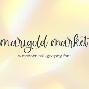Marigold Market Script - Procreate Font, Bouncy Handwritten Script Font ...