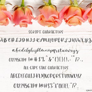 Reynolds Square - Bouncy Handwritten Script Font, Cricut Fonts ...