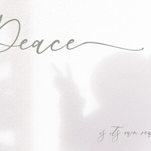 Palm Desert Cursive Font - Modern Calligraphy, Handwritten Script Font ...