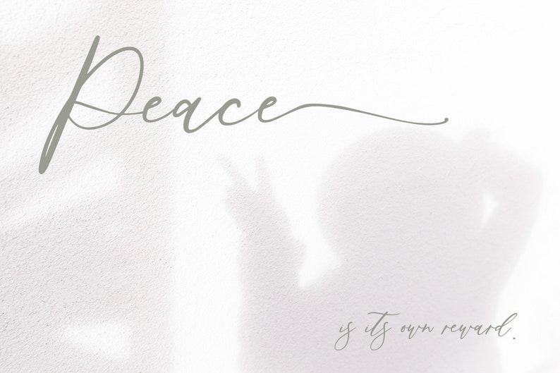 Palm Desert Cursive Font Modern Calligraphy Handwritten | Etsy