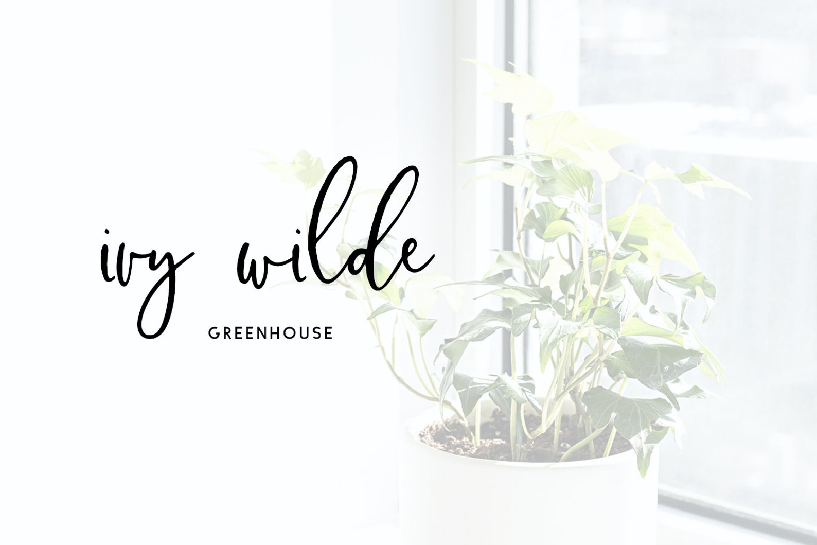 Islay Cursive Font Modern Script Font Textured Fonts - Etsy