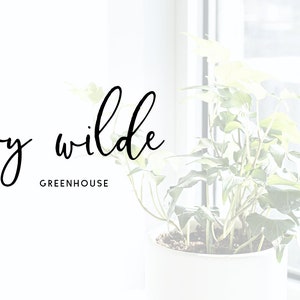 Islay Cursive Font - Modern Script Font, Textured Fonts, Procreate ...