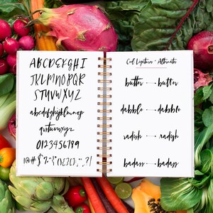 Backyard Garden Font - Handwritten Script Font, Brush Font, Cursive ...