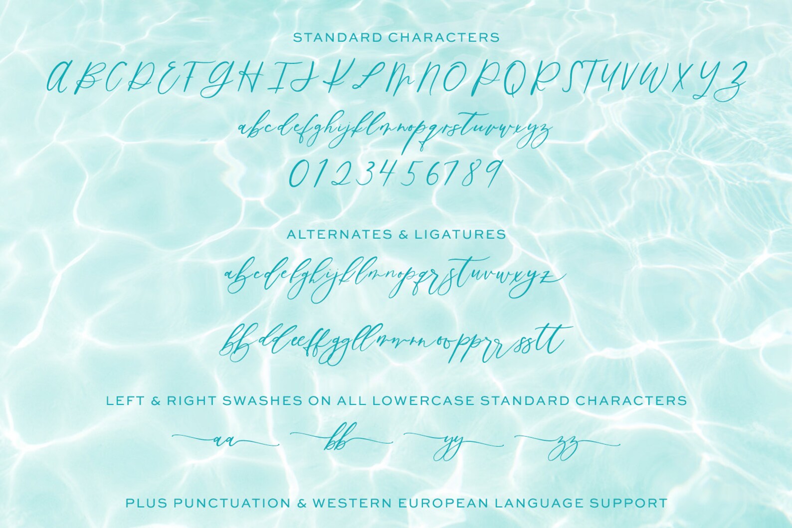 Palm Desert Cursive Font Modern Calligraphy Handwritten - Etsy