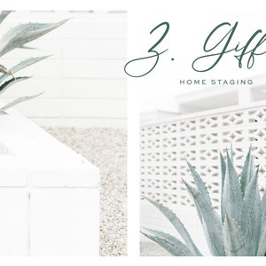 Palm Desert Cursive Font - Modern Calligraphy, Handwritten Script Font ...