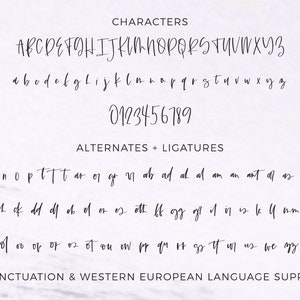 Duchess Script Font: Modern Calligraphy, Handwritten Style - Etsy