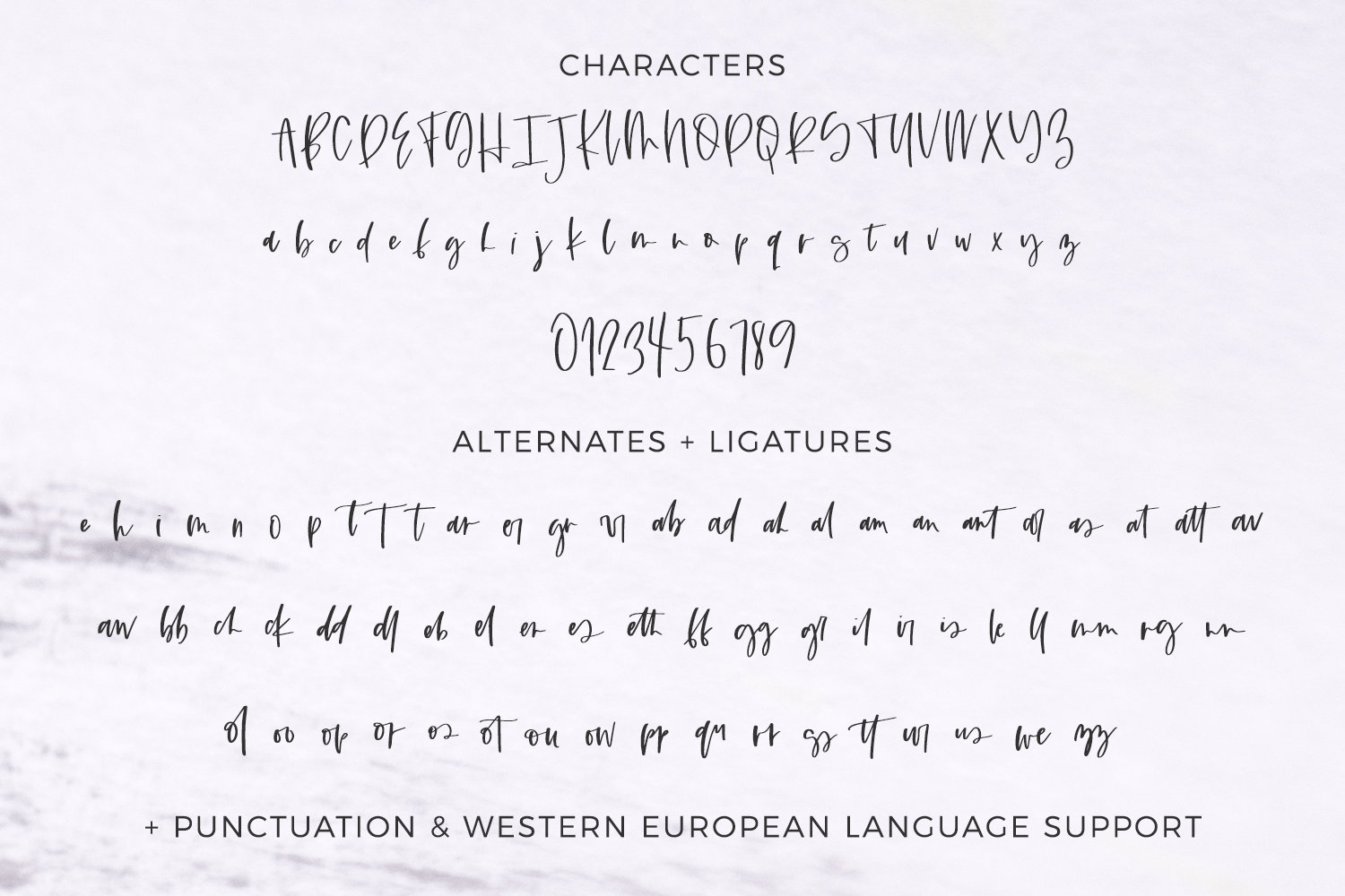 Duchess Script Font Modern Calligraphy Handwritten Script - Etsy