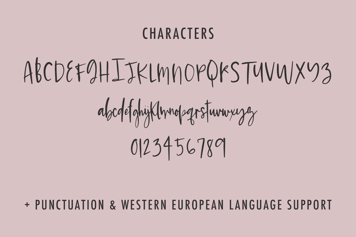 Bucket List Font Modern Script Font Cricut Fonts Procreate | Etsy