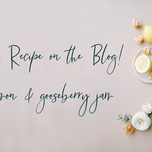 Lemonlove Script Font - Modern Calligraphy, Procreate Fonts ...