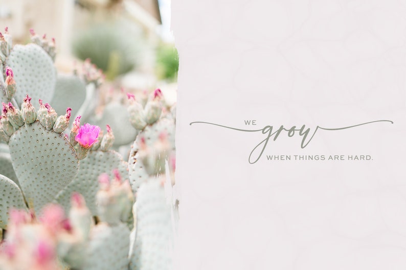 Palm Desert Cursive Font Modern Calligraphy Handwritten - Etsy