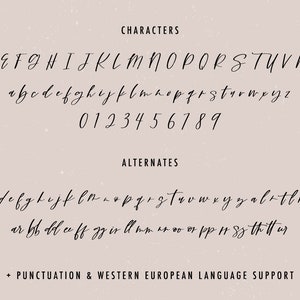 Dynamite Script Font - Modern Calligraphy, Handwritten Font, Boho Fonts ...