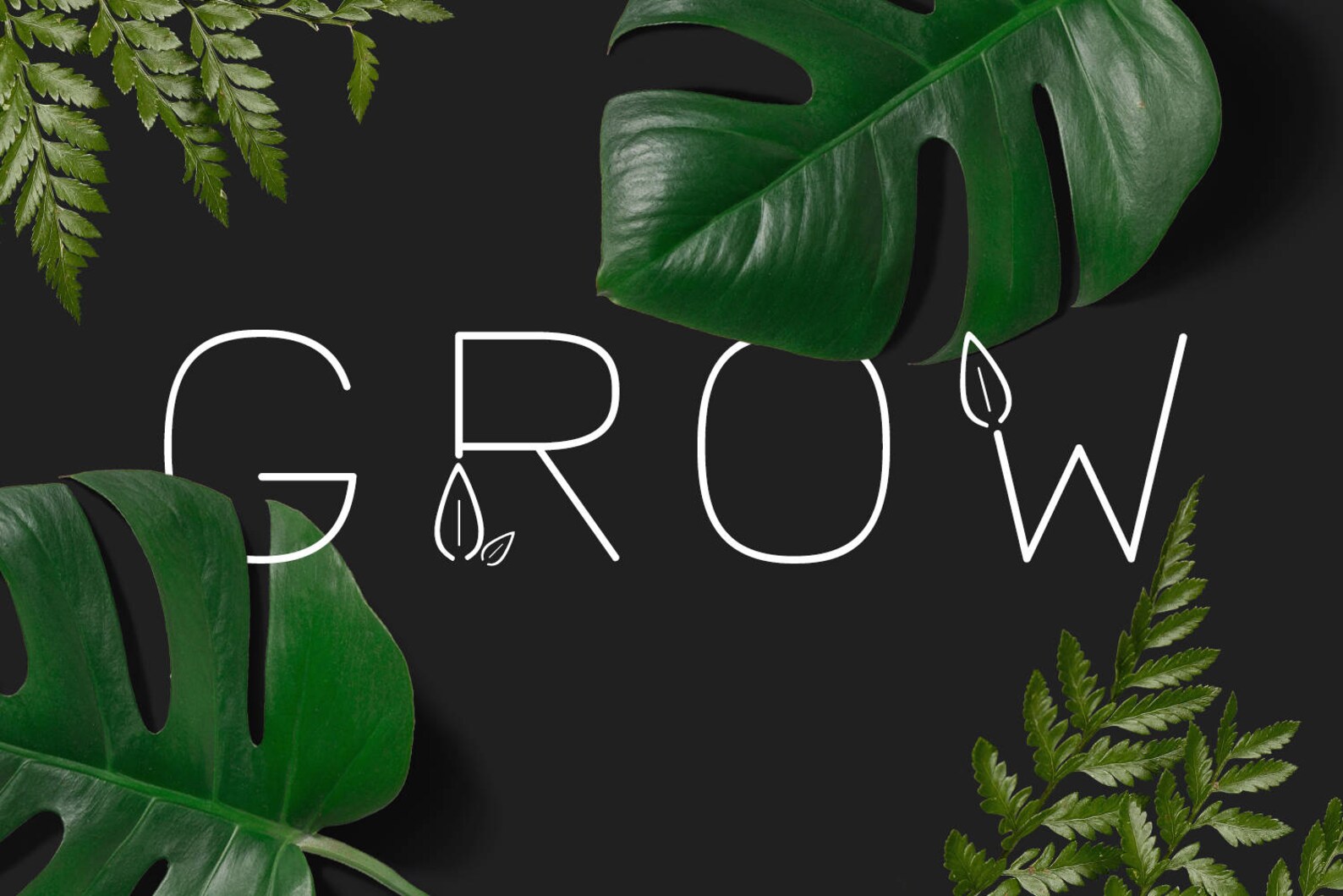 Lush Leaf Sans Serif Font: Ornamental Monogram, Cricut & Procreate ...