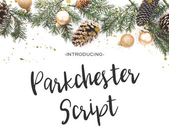 Alissa Font, Handwritten Script Font, Cricut Fonts, Cursive Font ...