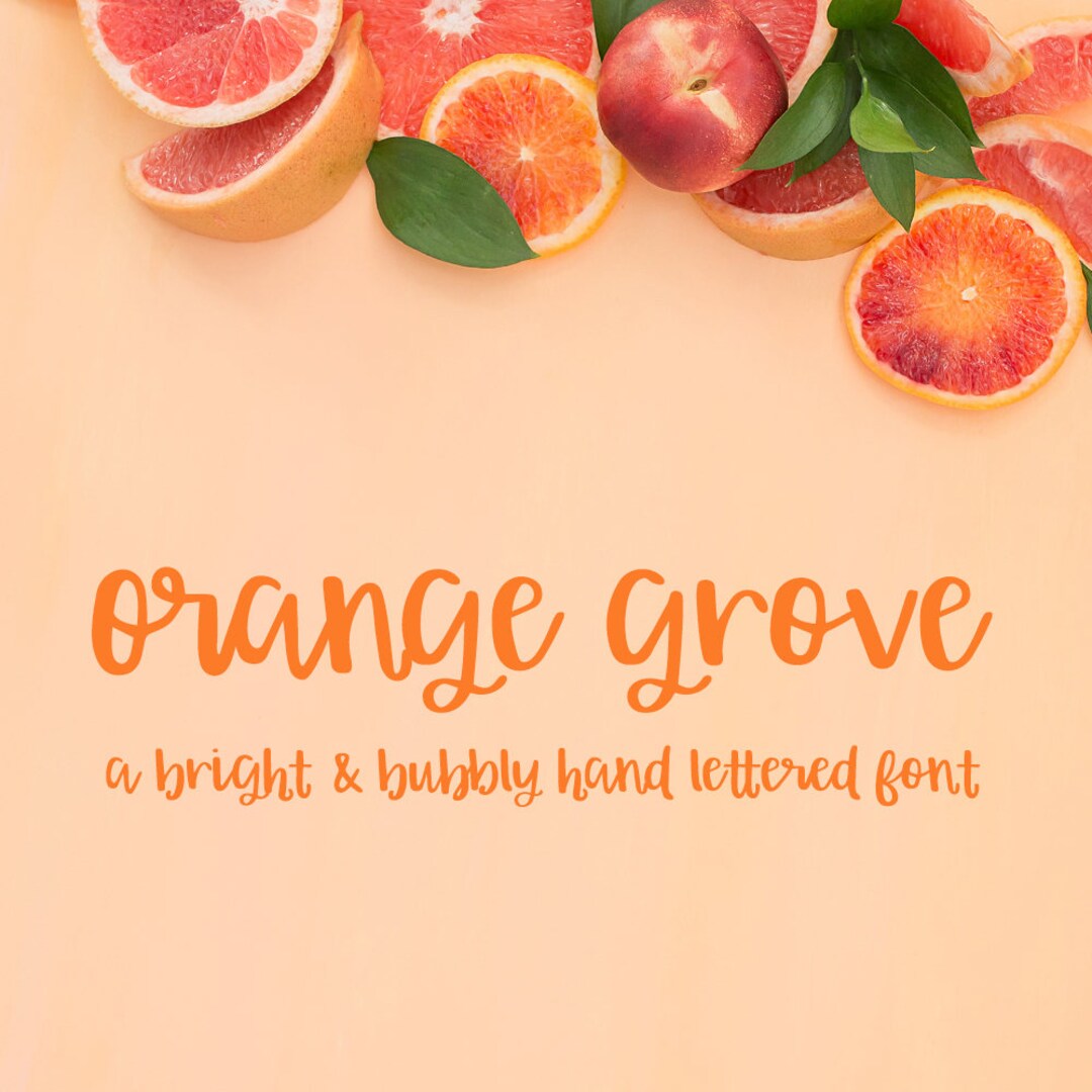 Orange Grove - Modern Calligraphy, Handwritten Script Font, Fonts for ...