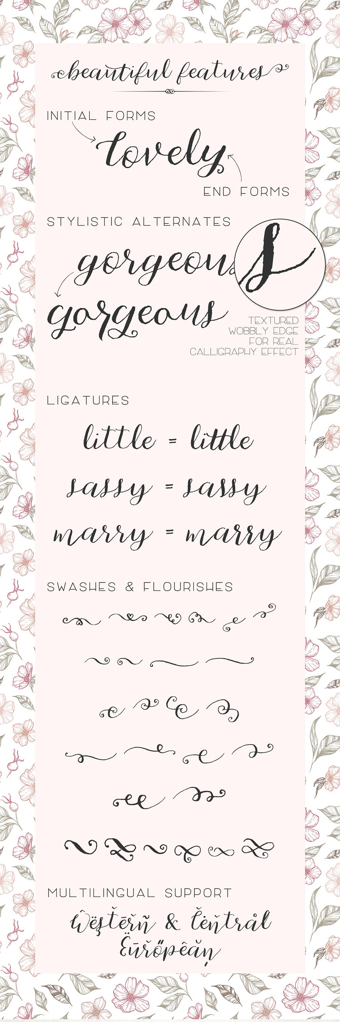 Cherokee Rose Font Modern Calligraphy Handwritten Script | Etsy