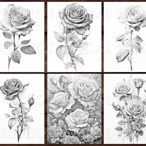 21 Rose Elegance Collection Coloring Page, Adults + Kids- Instant ...