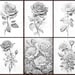 21 Rose Elegance Collection Coloring Page, Adults Kids Instant Download ...