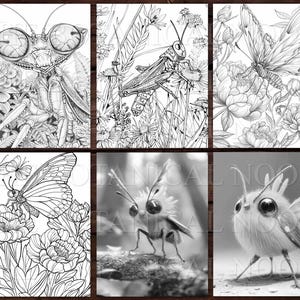 30 Baby Bugs Variety Pack Coloring Pages Book, Adults + Kids- Instant ...