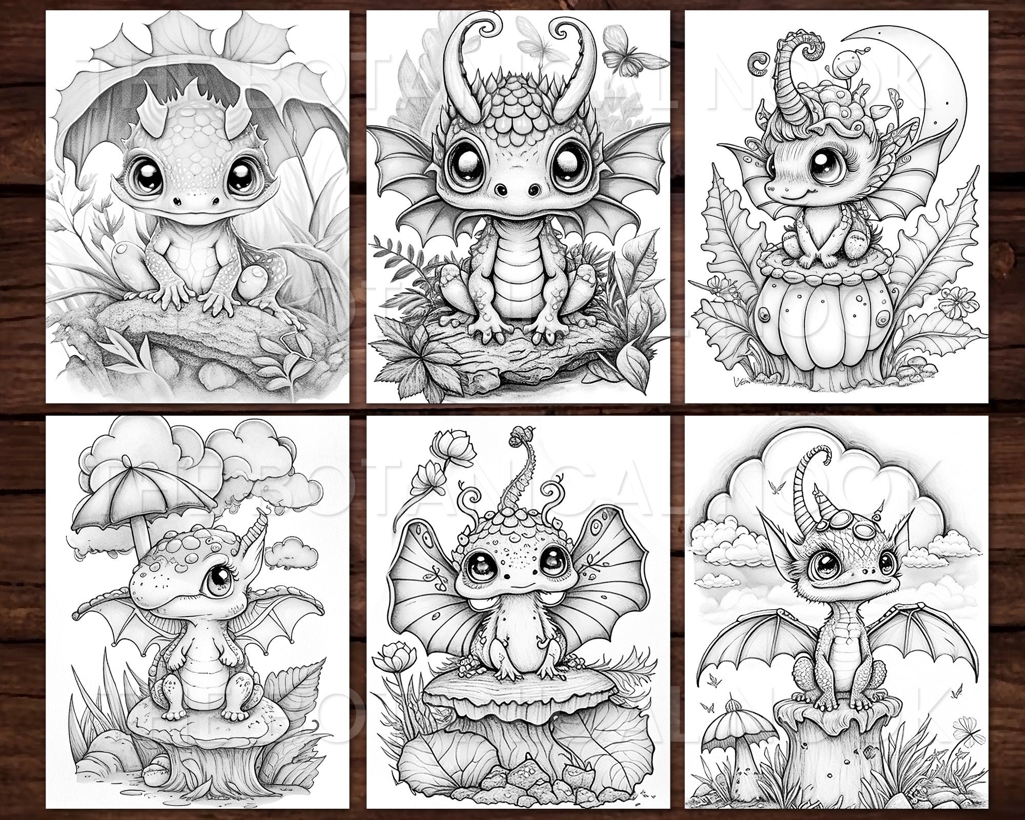 24 Baby Woodland Dragon Fantasy Coloring Page Book Adults - Etsy UK