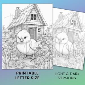 Cute Spring Chicken, Chicks & Flowers Coloring Page, Adults + Kids ...