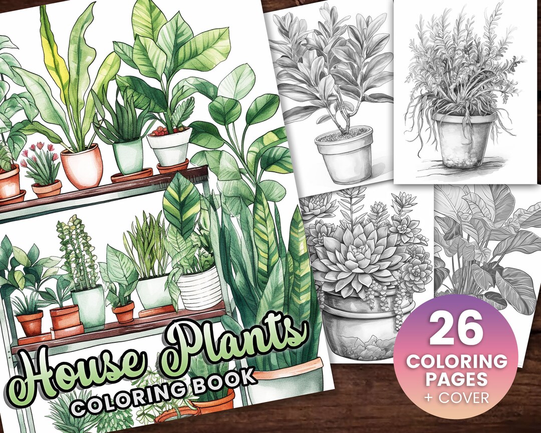 26 Houseplant Collection Coloring Page, Adults + Kids- Instant Download ...