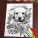 25 Puppy Love Dog Coloring Page Book, Adults + Kids- Instant Download ...