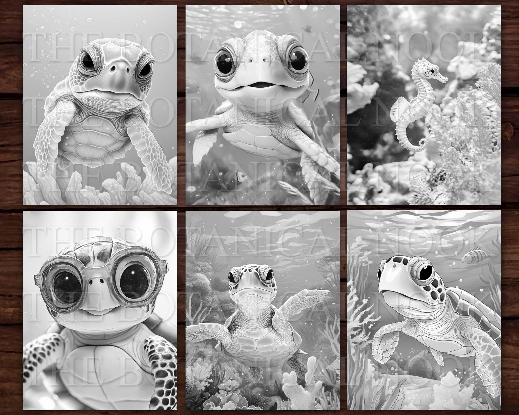 Cute Turtles Coloring Page Book, Adults + Kids Instant Download ...