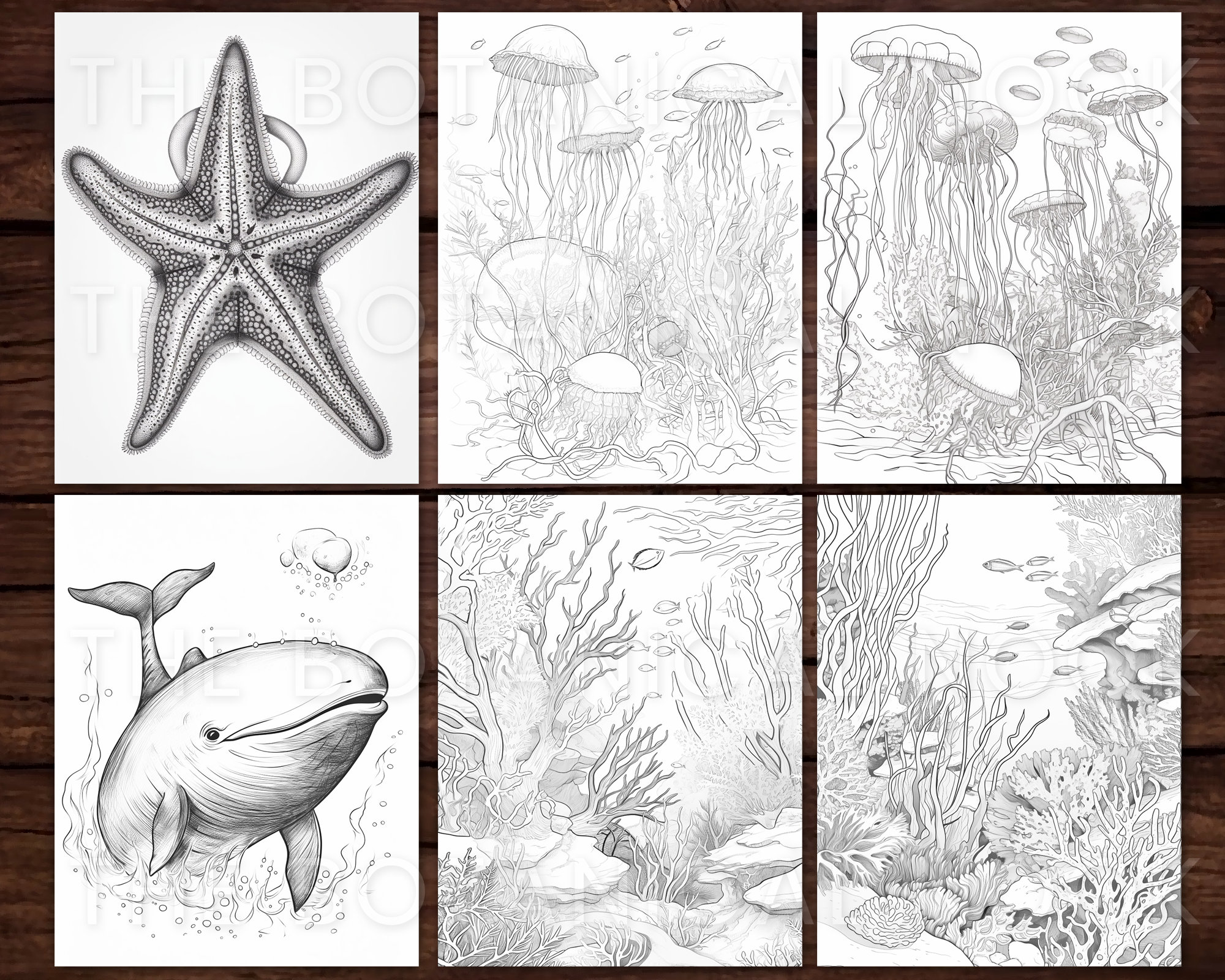 Sea Life Coloring Book, Adults Instant Download -grayscale Coloring ...