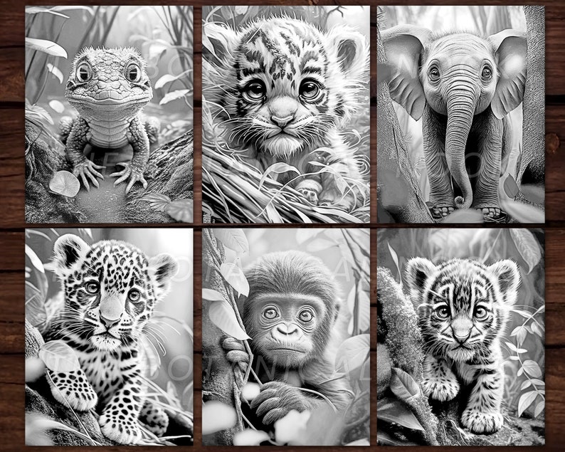 20 Baby Jungle Animals Cute Coloring Page Book Adults Kids - Etsy Canada
