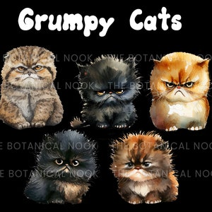10 Grumpy Cats Cute Fluffy Kitten Watercolor Clip Art Set (10 Graphics ...