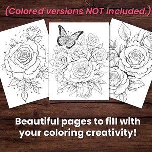 20 Rose Magic Collection Coloring Page, Adults + Kids- Instant Download ...