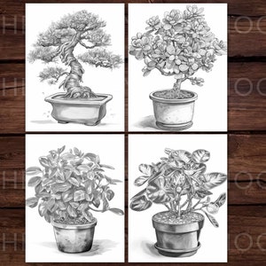 26 Houseplant Collection Coloring Page, Adults + Kids- Instant Download ...