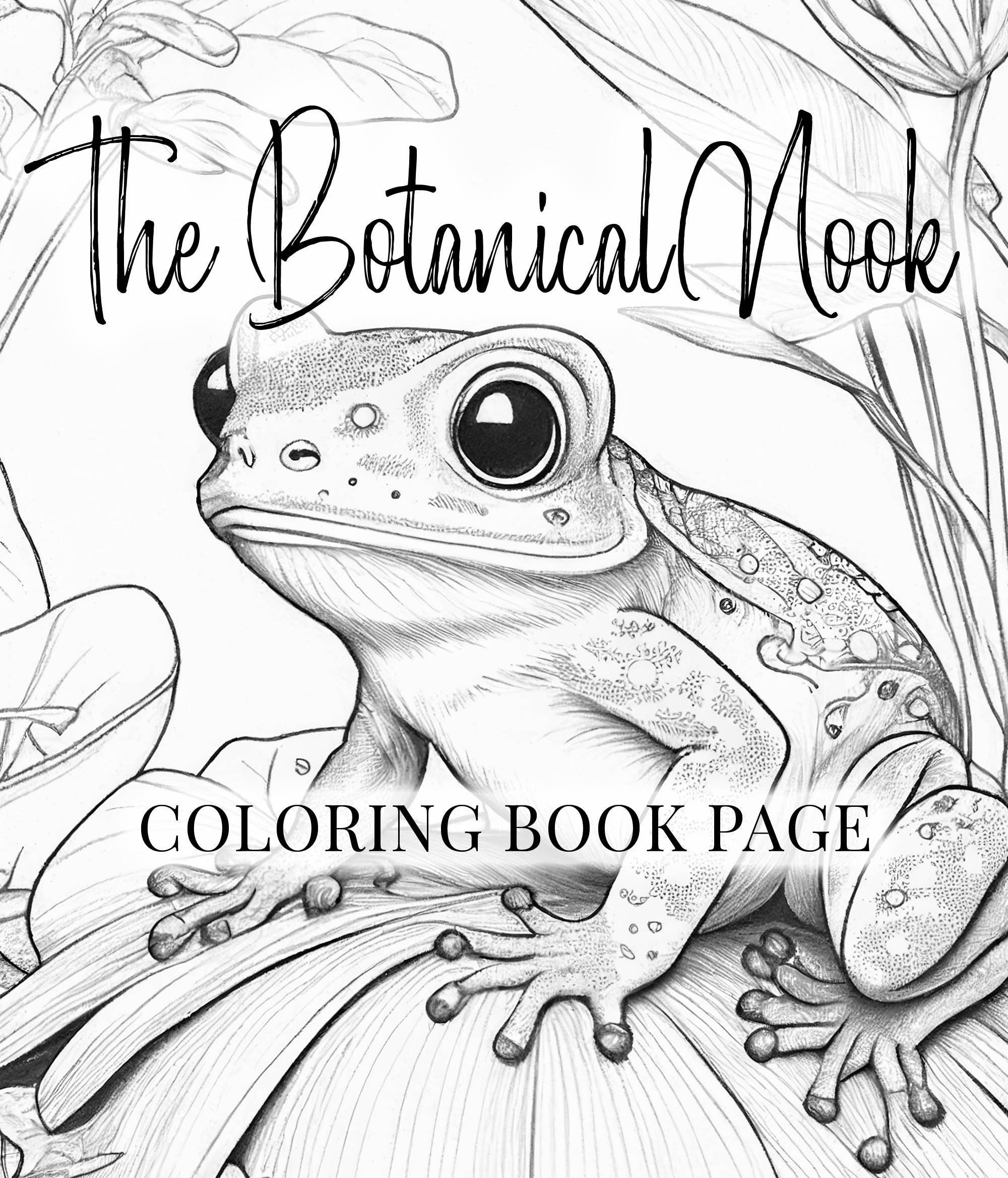 Tree Frog Coloring Pages