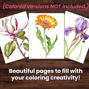 25 Flowers With Names Coloring Book, Adults Kids Instant Download ...
