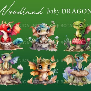 Cute Woodland Dragon Babies (12 Graphic Clip Art) Illustration Instant ...