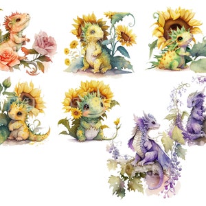 16 Cute Flower Dragon Babies (16 Graphic Clip Art) Illustration Instant ...
