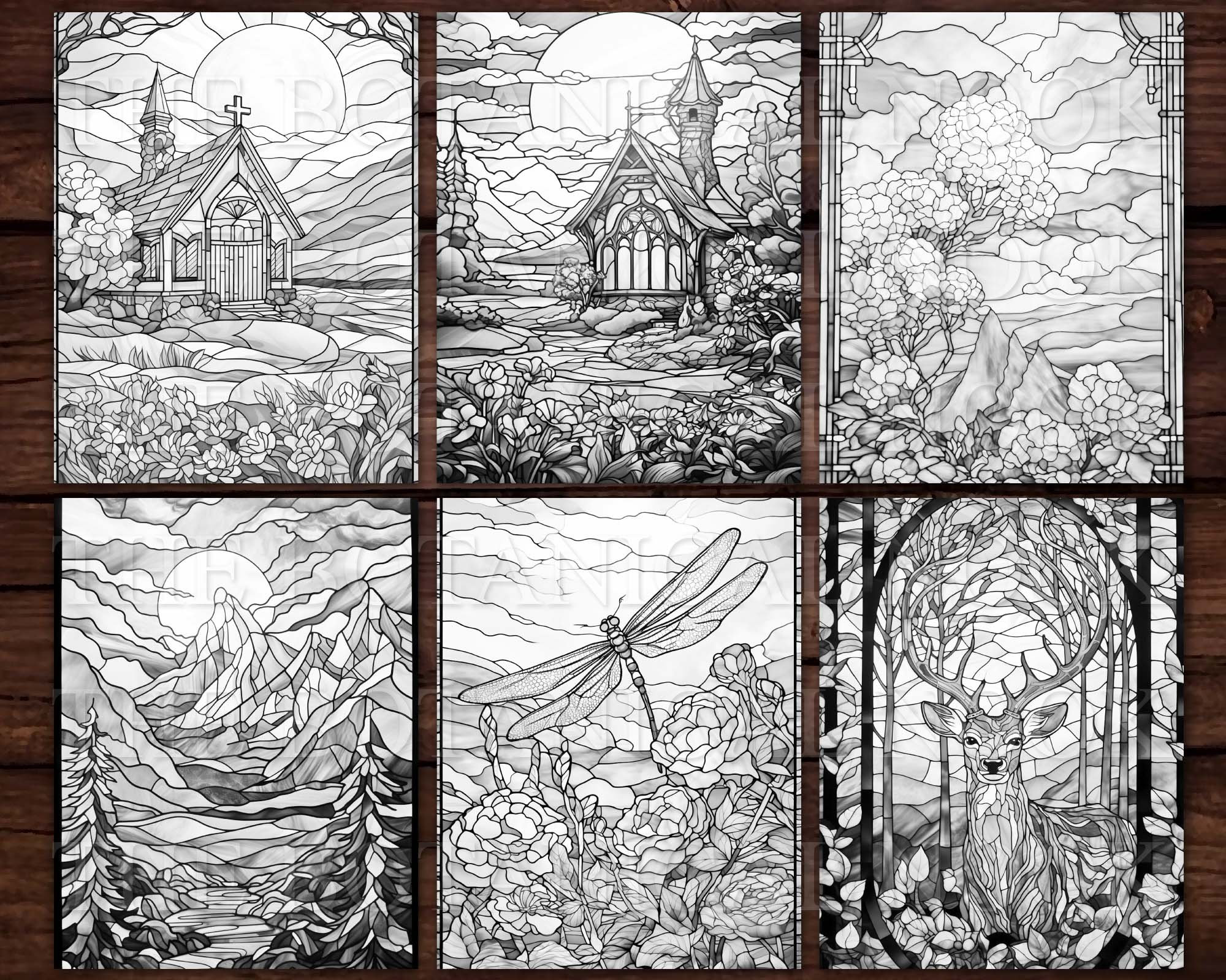 30 Stained Glass Variety Pack Coloring Pages Book, Adults + Kids ...