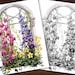 20 Blooming Windows Coloring Book Adults Kids Instant - Etsy