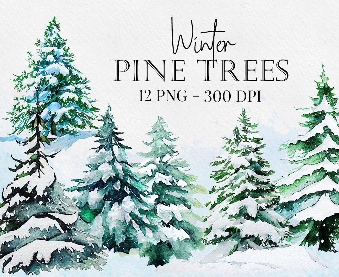 Winter Snow Pine Trees Woods Watercolor (graphic) Botanical ...