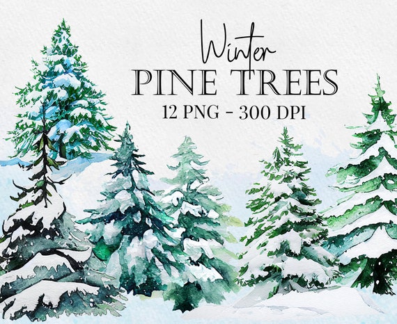 Winter Snow Pine Trees Woods Watercolor graphic Botanical - Etsy